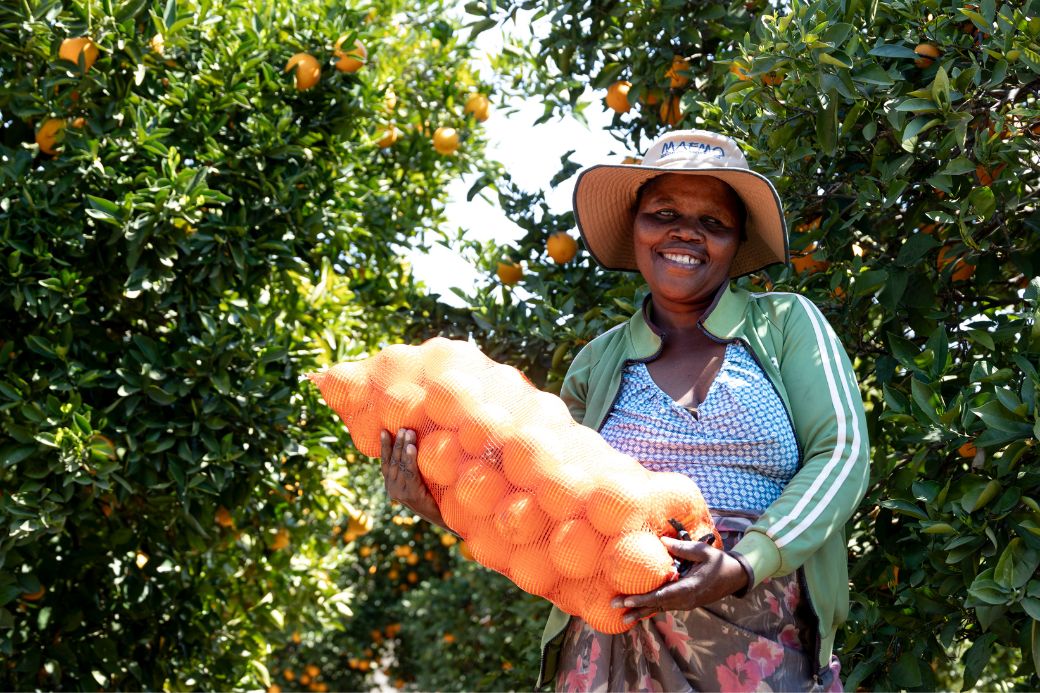 Zimbabwe: coltivando un sogno - CESVI Fondazione - ETS