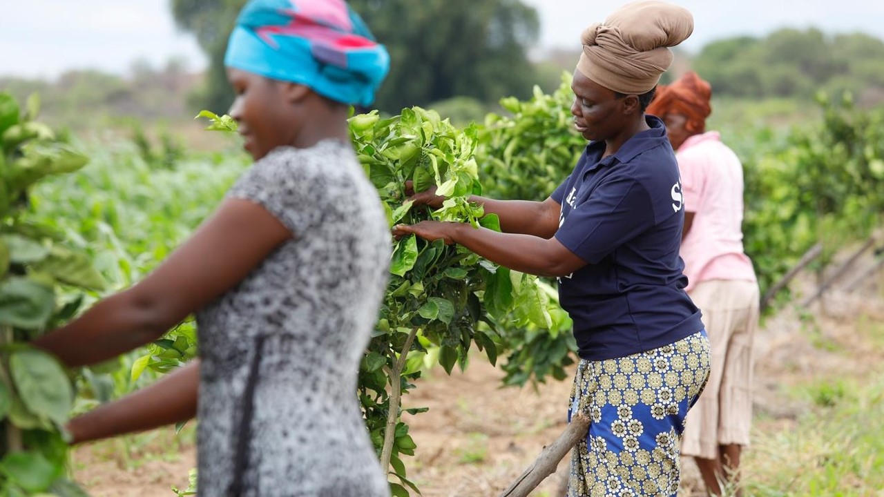 Moda e Design per i progetti CESVI in Zimbabwe - CESVI Fondazione - ETS